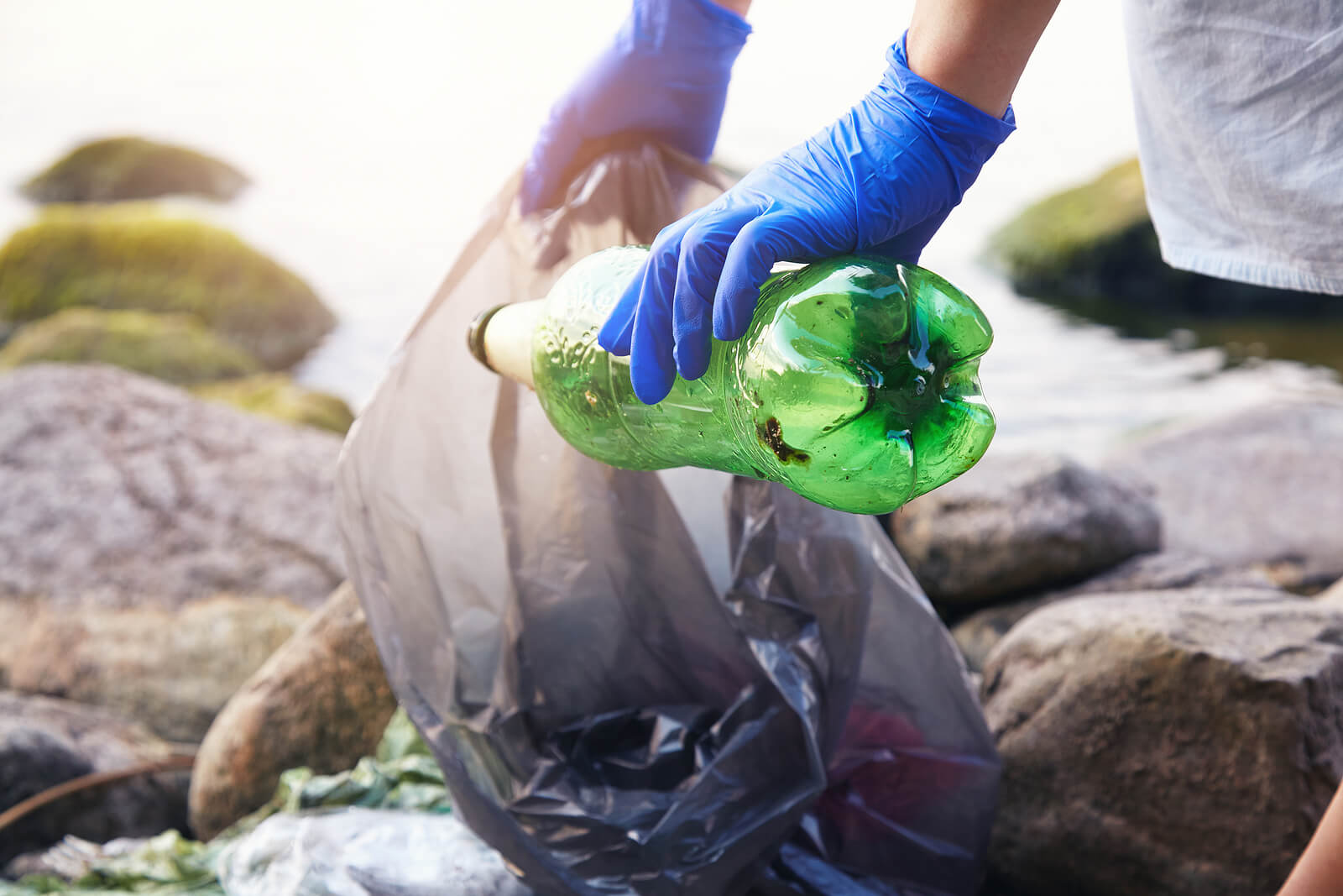 How To Get Involved With World Cleanup Day 2020 The Forge Skip Hire